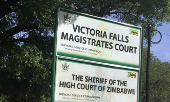 Innscor launches brewery to produce Nyathi beer - VicFallsLive