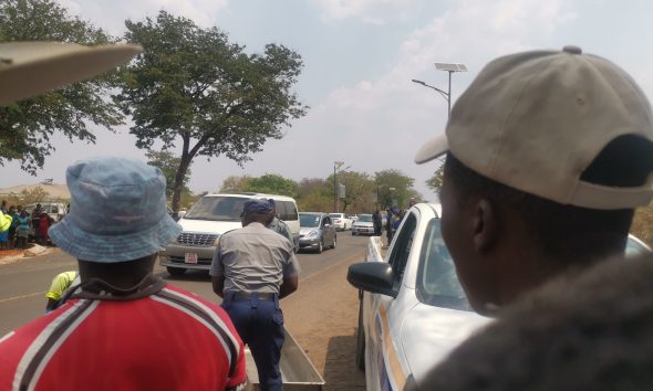 Innscor launches brewery to produce Nyathi beer - VicFallsLive