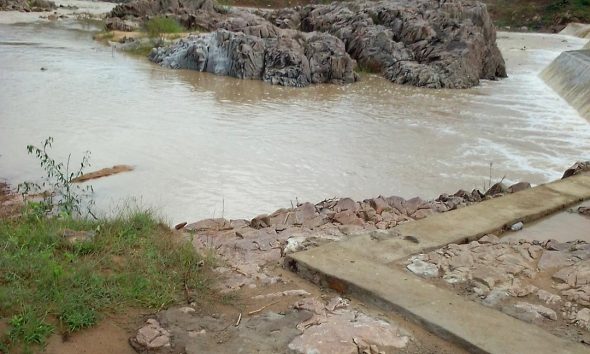 Innscor launches brewery to produce Nyathi beer - VicFallsLive